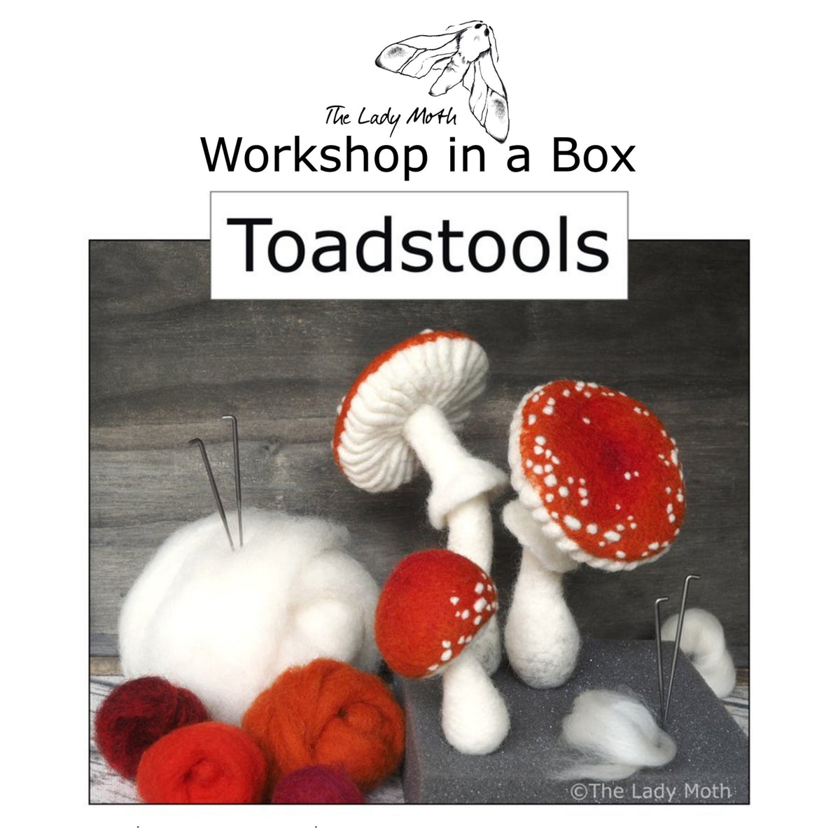 Workshop in a Box - Needle Felted Toadstools by The Lady Moth – Felt Wildly
