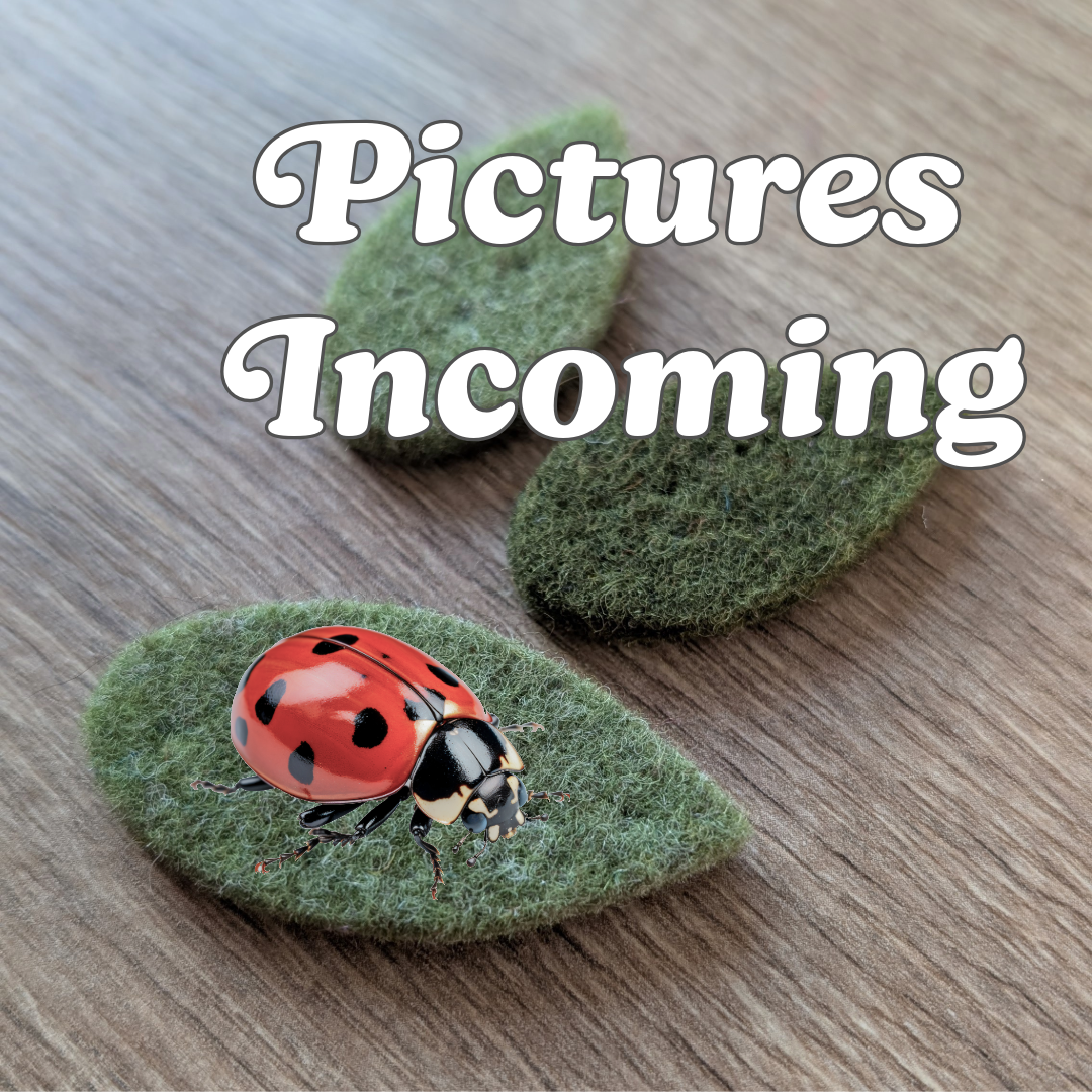 Felty Critters - SPRING INTO WOOL 2026 WORKSHOP – Felt Wildly