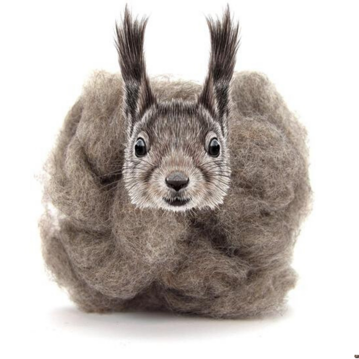 Carded Corriedale Slivers - Squirrel – Felt Wildly