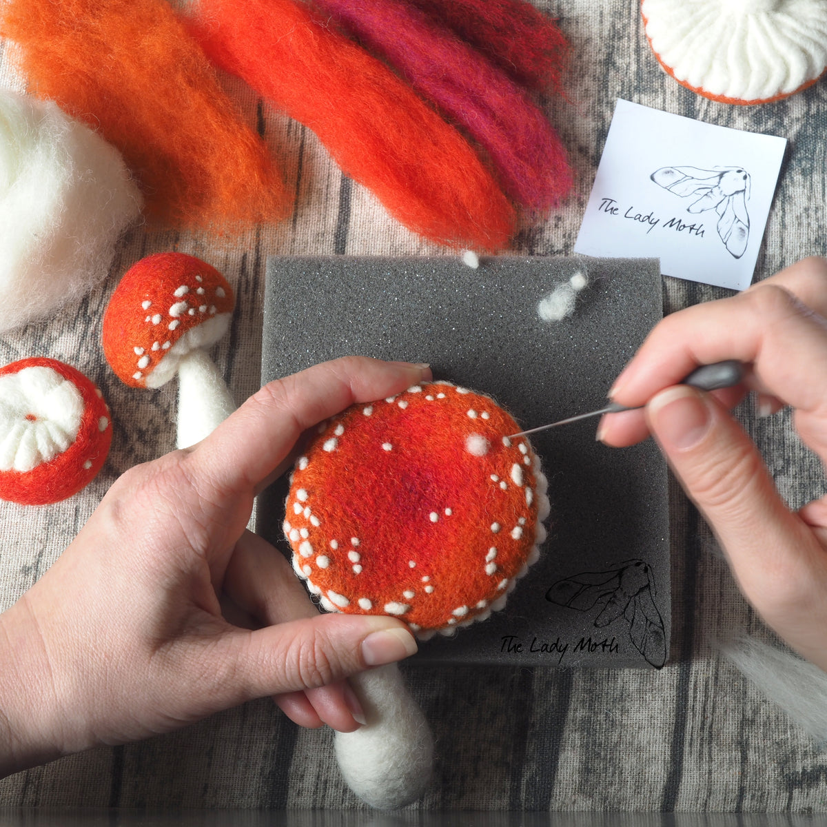 Online Video Tutorial - Needle Felted Toadstools by The Lady Moth ...